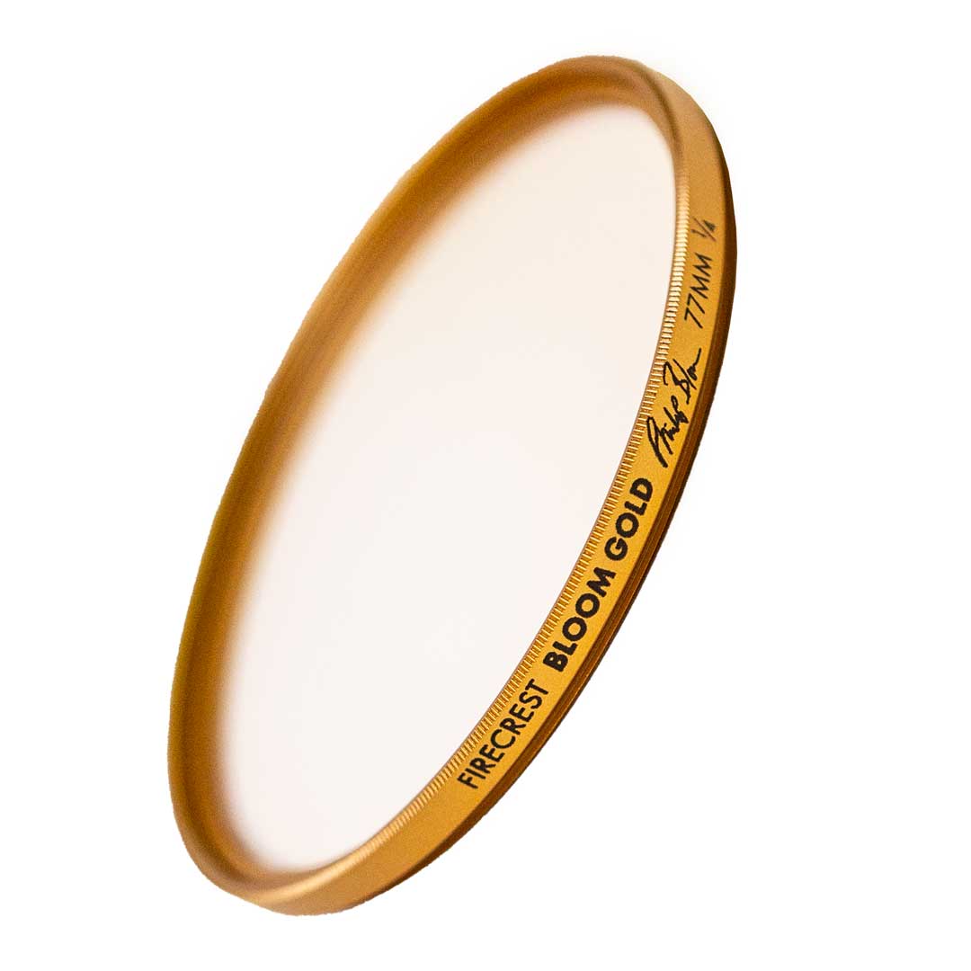 Firecrest Bloom Gold Filter